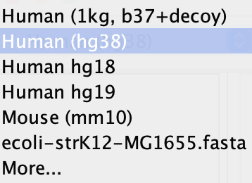 QC and alignment - Long-read sequence analysis