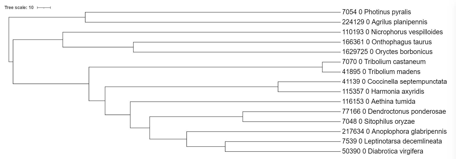 Gene Family Ancestral State Reconstruction - Biodiversity bioinformatics