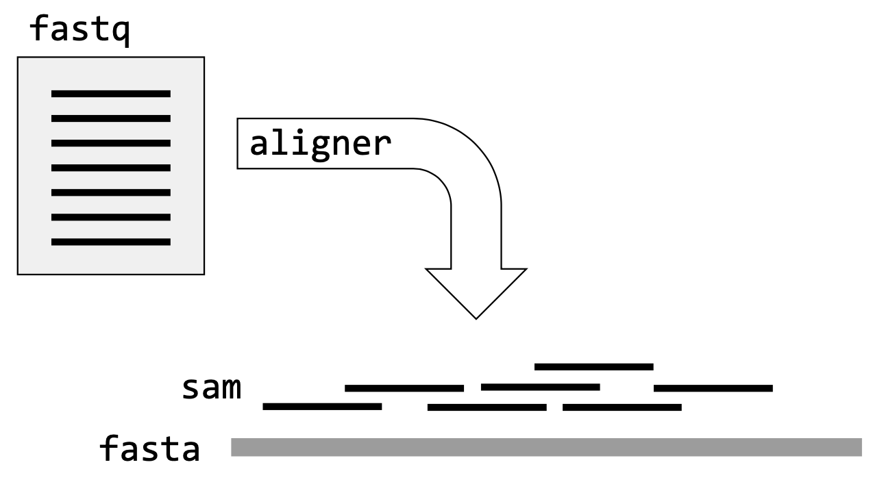 Introduction to Sequencing Data Analysis